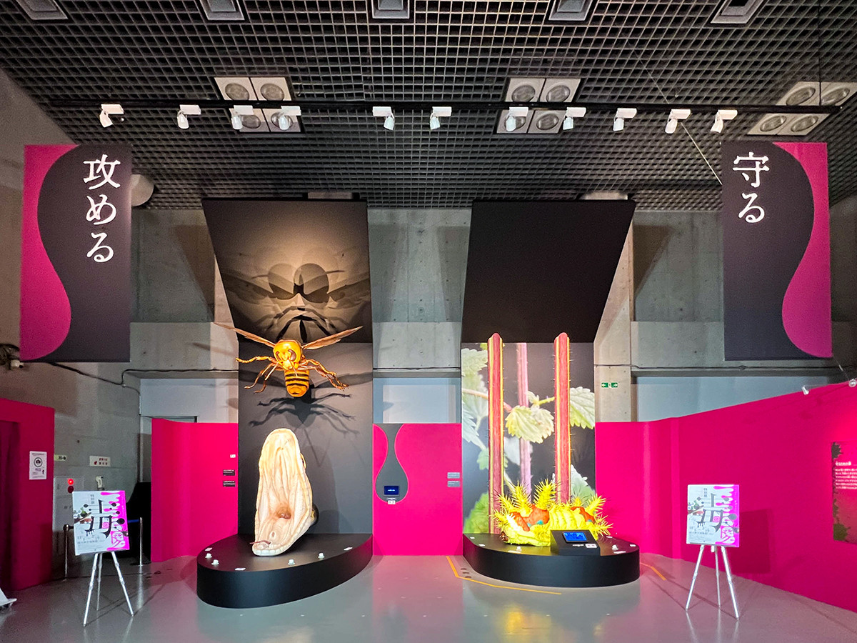 「毒」をテーマにした特別展、国立科学博物館で初開催 ニュース アイエム インターネットミュージアム