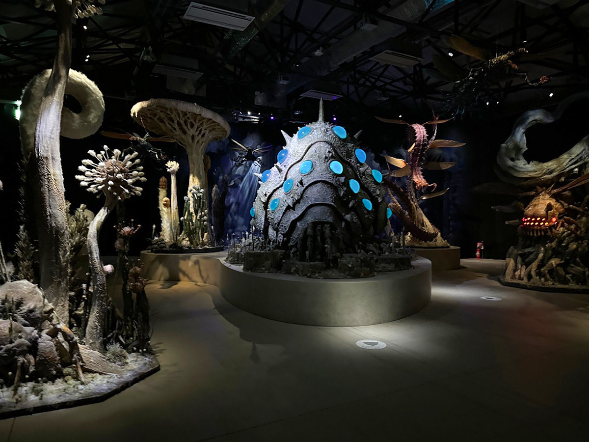 金曜ロードショー」の歩みとジブリ作品の魅力を紹介する展覧会 金曜ロードショー」の歩みとジブリ作品の魅力を紹介する展覧会
